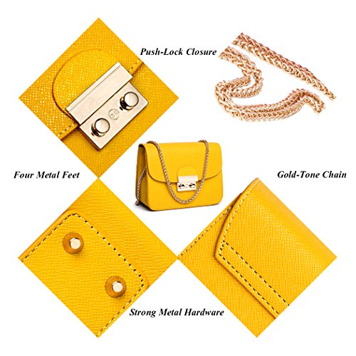 TOYOOSKY Small Evening Bags for Women Crossbody Bag Chain Shoulder Evening Clutch Purse Formal Bag