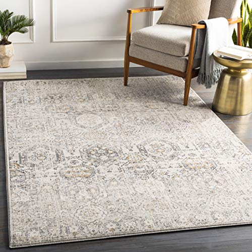 Artistic Weavers Aune Updated Traditional Area Rug 7'10" x 10'2",Grey