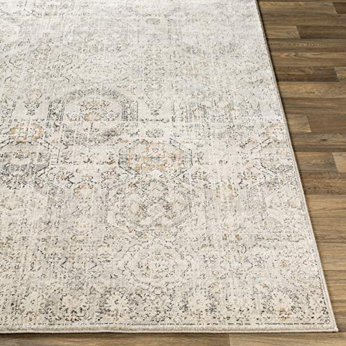 Artistic Weavers Aune Updated Traditional Area Rug 7'10" x 10'2",Grey