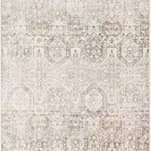 Artistic Weavers Aune Updated Traditional Area Rug 7'10" x 10'2",Grey