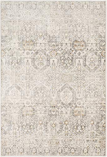 Artistic Weavers Aune Updated Traditional Area Rug 7'10" x 10'2",Grey