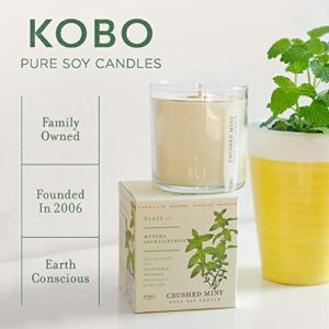 KOBO Wild Tomato Vine Candle with Plantable Box (9 oz) | Plant The Box Collection, 100% Pure Soy Wax Candles | Hand-Poured in USA | Long Lasting 60 Hour Burning Candles | Scented Candles for Home