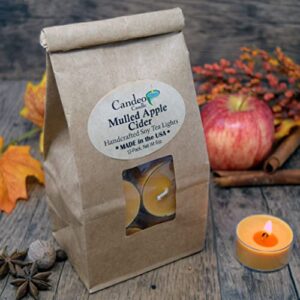 Mulled Apple Cider - 12 Pack - Soy Tealight Candles - Yellow Tealight Candles - Highly Scented - Made with Soy Wax - Handmade in The USA - Candeo Candle - Fall Scents