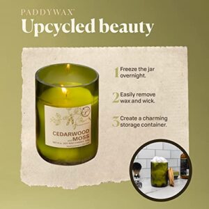 Paddywax Eco Green Collection Hand-Poured Artisan Scented Candle, 8-Ounce, Cedarwood & Moss