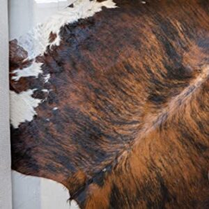 Genuine Dark Brindle Tricolor Cowhide Rug Size 6 x 6-7 ft. 180 x 210 cm