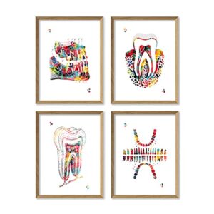 dental watercolor art prints orthodontist dentist dentistry assistant student wall art decor gifts dental office wall art decor dental hygienist gifts 8×10 unframed print set