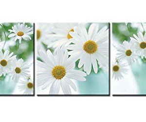 So Crazy Art- White Daisy Wall Art Decor Daisies Flower in Vase Canvas Pictures Artwork 3 Panel Plant Painting Prints for Home Living Dining Room Kitchen