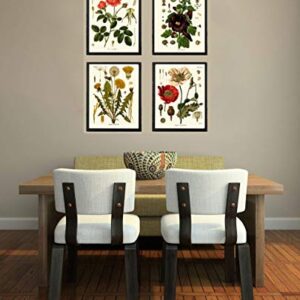 Botanical Flower Set of 4 Art Prints Antique Beautiful Red Rose Poppy Large Black Hollyhock Dandelion Spring Summer Garden Home Room Wall Decor Unframed KOH