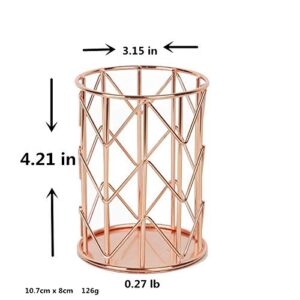 BULYZER Grid Wall Shelves Basket with Hooks,Bookshelf,Display Shelf for Wall Grid Panel,Wall Mount Organizer and Storage Shelf Rack for Office (Rose Gold)