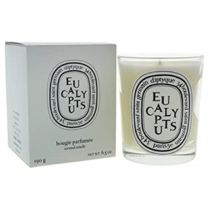 diptyque eucalyptus candle, 6.5 ounce