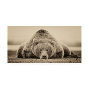 trademark fine art deep sleep by phburchett, 24×47, black