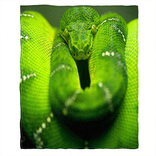 Moslion Soft Cozy Throw Blanket Green Snake Wild Animal Fuzzy Couch/Bed Blanket for Adult/Youth Polyester 30 X 40 Inches(Home/Travel/Camping Applicable)