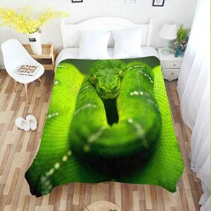 Moslion Soft Cozy Throw Blanket Green Snake Wild Animal Fuzzy Couch/Bed Blanket for Adult/Youth Polyester 30 X 40 Inches(Home/Travel/Camping Applicable)