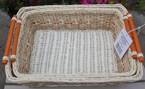 RT450180-2 Handwoven Retangular Wicker Storage basket with Handle in cream and brown (Set of 2)