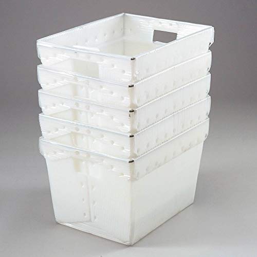 Minnesota Diversified Postal Mail Tote Without Lid, Corrugated Plastic, Natural, 18-1/2x13-1/4x12 - Lot of 10