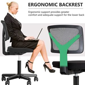 Home Office Chair Executive Rolling Swivel Ergonomic Chair, Computer Chair with Lumbar Support Task Mesh Chair Armless Desk Chair,Black