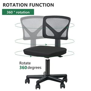 Home Office Chair Executive Rolling Swivel Ergonomic Chair, Computer Chair with Lumbar Support Task Mesh Chair Armless Desk Chair,Black