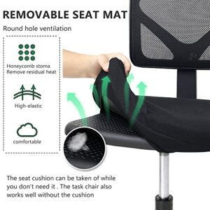 Home Office Chair Executive Rolling Swivel Ergonomic Chair, Computer Chair with Lumbar Support Task Mesh Chair Armless Desk Chair,Black