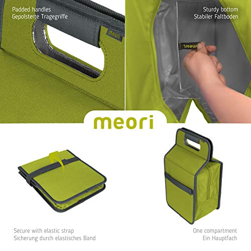 meori Green Foldable Lunchbox Cooler Spring Outdoor Work Picnic Insulated Collapsible Back to School Lunch, zzzz-s