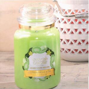 Honeydew Melon Large Jar Candle,Fresh Scent