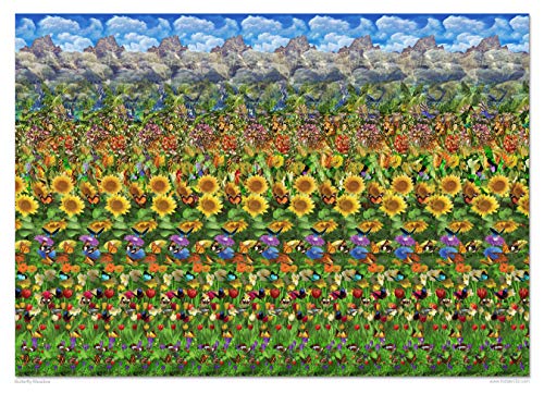 Set of Six 18"x13" Stereogram Posters (Set#2)