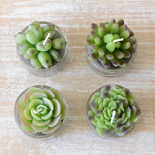 WISDOMTOY Holiday Party Succulents Mini Green Meat Plant Romantic Candle Decoration, Set of 4