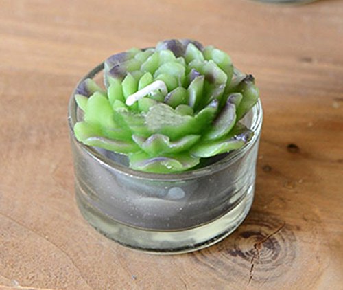 WISDOMTOY Holiday Party Succulents Mini Green Meat Plant Romantic Candle Decoration, Set of 4