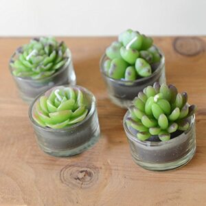 WISDOMTOY Holiday Party Succulents Mini Green Meat Plant Romantic Candle Decoration, Set of 4