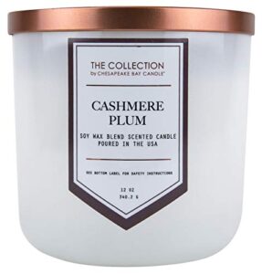 chesapeake bay candle the collection two-wick scented candle, cashmere plum