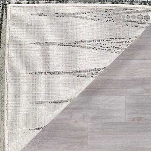 SAFAVIEH Evoke Collection 11' x 15' Ivory/Grey EVK226D Boho Non-Shedding Living Room Bedroom Dining Home Office Area Rug