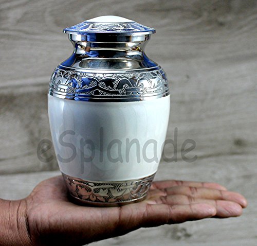 eSplanade Cremation Urn Memorial Container Jar Pot | Metal Burial Urns | Keepsake for Ashes | Brass - White - 6" Inches (Medium)