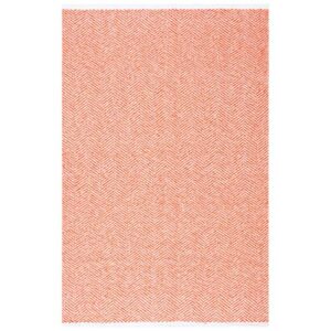 SAFAVIEH Nantucket Collection 4' x 6' Rust NAN144P Handmade Cotton Area Rug