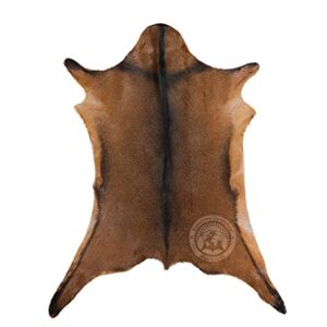 Sunshine Cowhides Genuine Goatskin Rug Goat Skin Goat Hide Goat Skin Rug Exotic 2 x 3 ft.