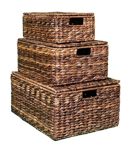 BIRDROCK HOME Abaca Nesting Baskets - 3 baskets - Environmentally Friendly