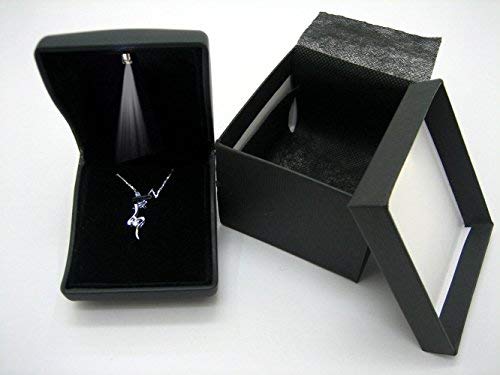 LILY TREACY PU Leather Jewelry, Earrings,Coin,Pendant, Necklace Box Case with Light up for Wedding, Engagement, Gift