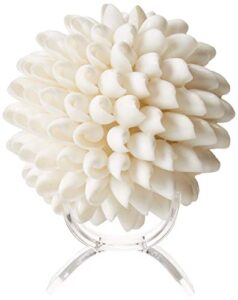 tumbler home real white seashell sphere with lucite stand | 3 inches wide | beach house shelf decor