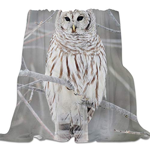 Singingin Ultra Soft Flannel Fleece Bed Blanket Cute White Owl Perch On Tree Branch Throw Blanket All Season Warm Fuzzy Light Weight Cozy Plush Blankets for Living Room/Bedroom 50 x 60 inches