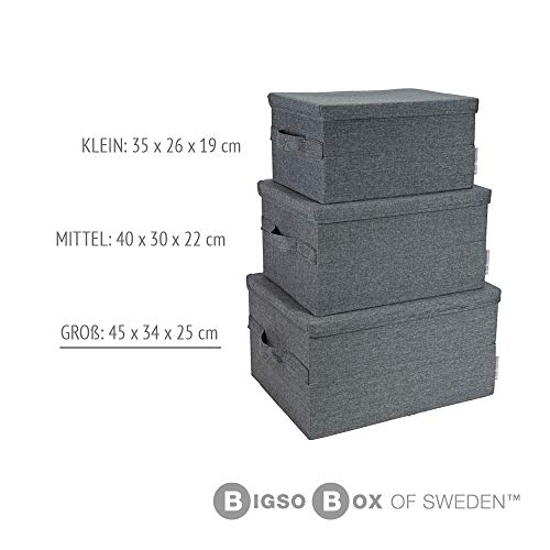 Bigso Soft Foldable Polyester Storage Box with Lid | Fabric Storage Bin with Lid and Handles for Closets and Rooms | Collapsible Storage Box for Clothes and More | 13.4″ x 17.7″ x 9.8” | Large | Grey