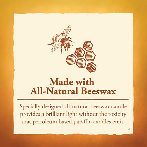 Candle by the Hour 20561B 144-Hour Candle, Eco-friendly Natural Beeswax with Cotton Wick,Yellow