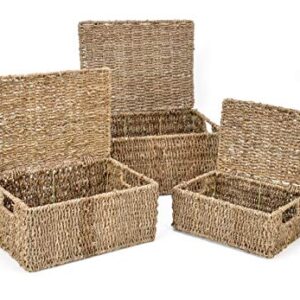 Set of 3 Rectangular Seagrass Baskets with Lids by Trademark Innovations