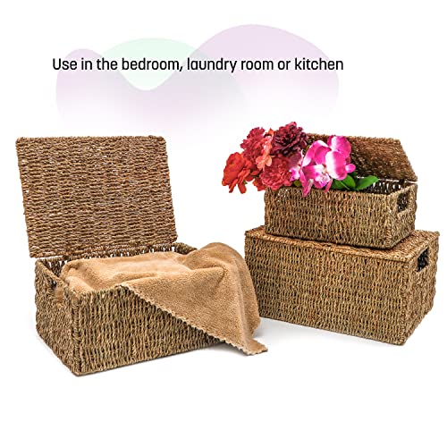 Set of 3 Rectangular Seagrass Baskets with Lids by Trademark Innovations