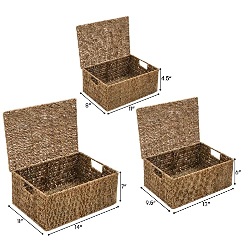 Set of 3 Rectangular Seagrass Baskets with Lids by Trademark Innovations