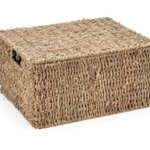 Set of 3 Rectangular Seagrass Baskets with Lids by Trademark Innovations