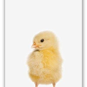 Baby Farm Animals Poster Prints - Set of 6 (8x10) Adorable Furry Barn Portraits Wall Art Nursery Decor - Calf (Cow) - Chick (Chicken) - Donkey - Foal (Horse) - Duckling (Duck) - Piglet (Pig)