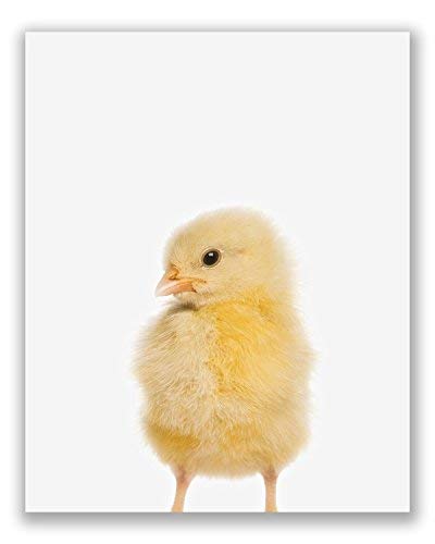 Baby Farm Animals Poster Prints - Set of 6 (8x10) Adorable Furry Barn Portraits Wall Art Nursery Decor - Calf (Cow) - Chick (Chicken) - Donkey - Foal (Horse) - Duckling (Duck) - Piglet (Pig)