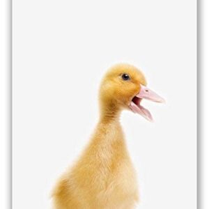 Baby Farm Animals Poster Prints - Set of 6 (8x10) Adorable Furry Barn Portraits Wall Art Nursery Decor - Calf (Cow) - Chick (Chicken) - Donkey - Foal (Horse) - Duckling (Duck) - Piglet (Pig)