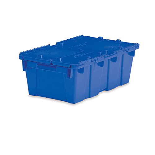 Medium Storage Tote with Lid 19.7"L x 11.8" W x 7.3"H - Blue