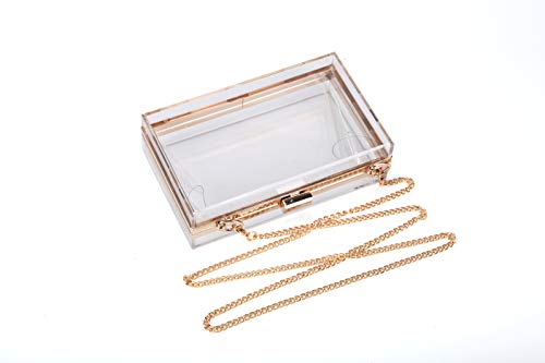 Nodykka Clear Purses and Handbags Crossbody Bags Clutch Purse Sport Events Stadium Approved Shoulder bag for Women(Gold)