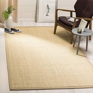 safavieh natural fiber collection 8′ x 10′ ivory/beige nf152a border sisal area rug