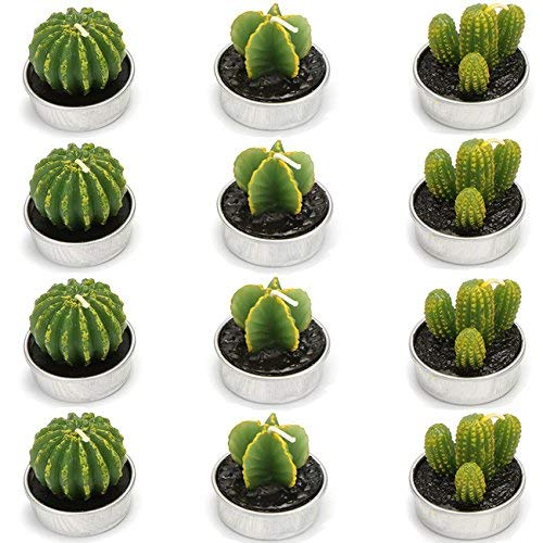 Sunnyglade 12PCS Cactus Tealight Candles Handmade Delicate Succulent Cactus Candles for Birthday Party Wedding Spa Home Decor